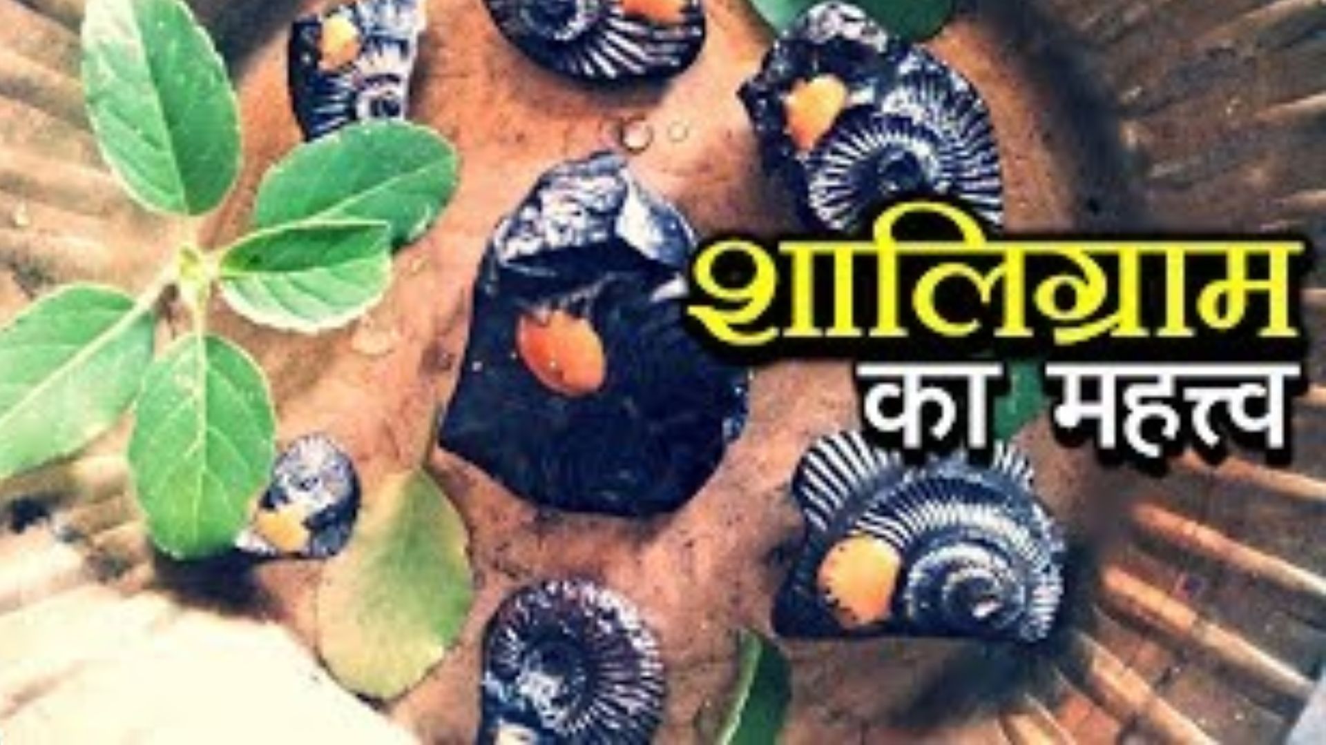 Shaligram : क्या है शालिग्राम पत्थर, कैसे बनता है, क्यों होती है पूजा ...